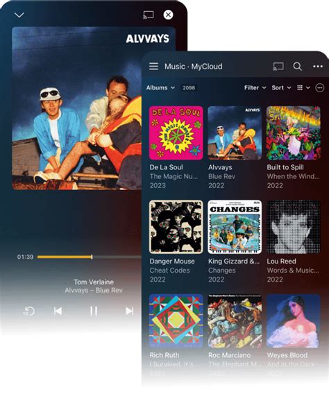 Personal Media Server Plex