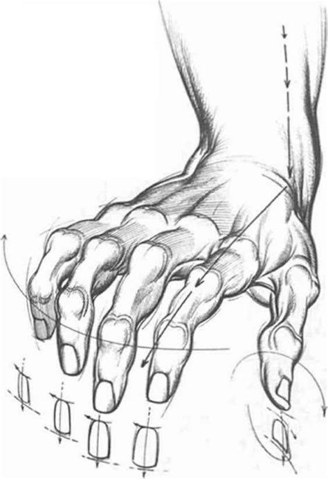Drawing Of A Hand Reaching Out At Getdrawings Free Download