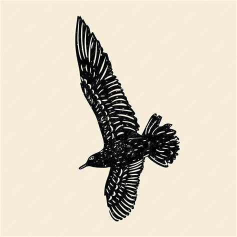 손으로 그린 Linocut 스타일 비행 새 흰색 뒷면에 고립 된 새 실루엣의 그런 지 그림 프리미엄 벡터