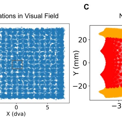 Mapping Artificial Neurons From A Brain Like Dnn To Anatomical Download Scientific Diagram