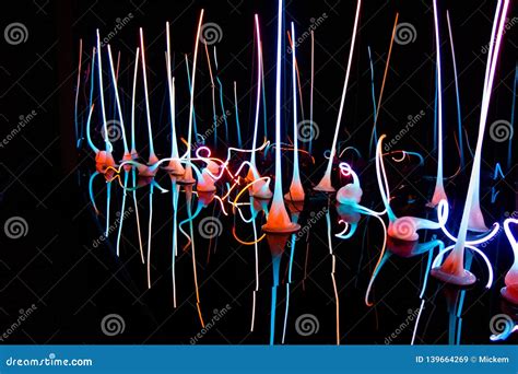 Chihuly Glass Neon Reeds On Black Background Editorial Stock Image