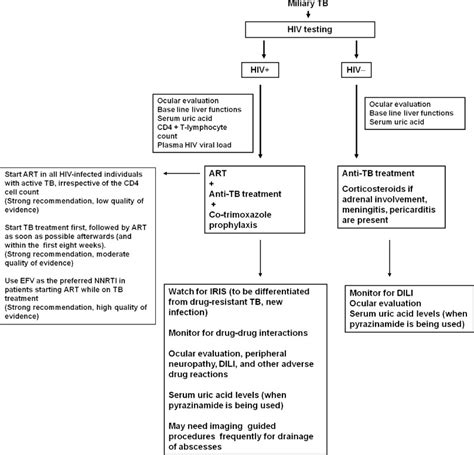 Algorithm For Treatment Of Miliary Tb The Anti Retroviral Treatment