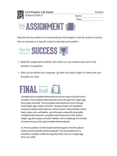 Kami Export 4 3 4 Practice Life Cycles Practice Pdf Insects Pupa