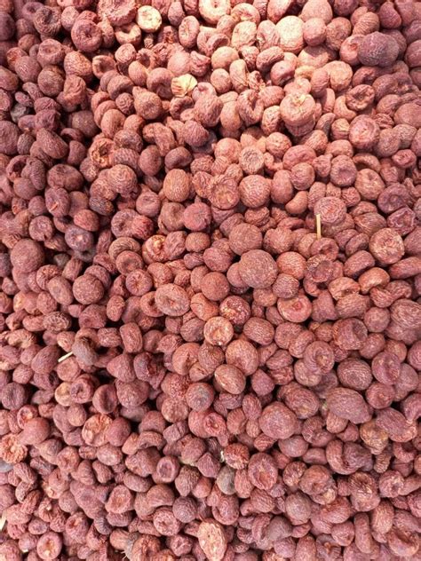 Double Boiled Batel Nuts At Rs 550kg Betel Nuts In Uttar