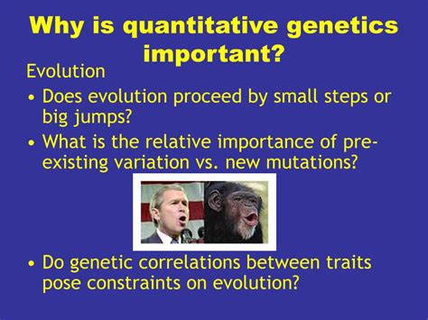 Ppt Introduction To Quantitative Genetics Powerpoint Presentation