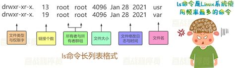 linux文件基本属性 【官方】百战程序员 it在线教育培训机构 体系课程在线学习平台