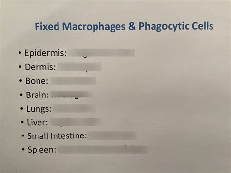 Fixed Macrophages And Phagocytic Cells Diagram Quizlet