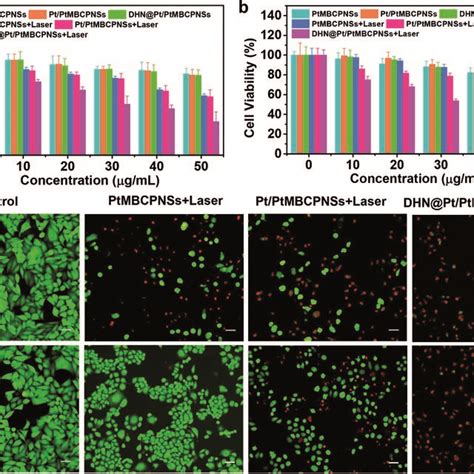 Synergistic Pdt And Chemotherapy In Vitro Cell Viability Levels Of Download Scientific Diagram