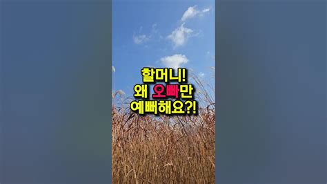 시어머님이 쌍둥이 아들 딸 손주를 심하게 차별하십니다 설날새배 설날용돈 새배돈 남녀차별 시댁썰 가족 노년인생 노후사연 시어머니와며느리 손주사랑 손주