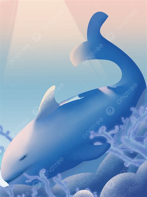 손으로 그린 신선한 만화 겨울 푸른 고래 일러스트 배경 손으로 그린 신선한 만화 배경 일러스트 및 사진 무료 다운로드 Pngtree