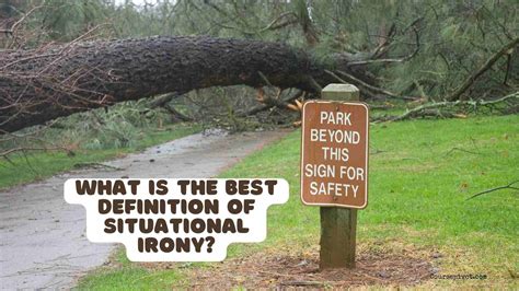 Situational Irony Definition Examples And How It Works