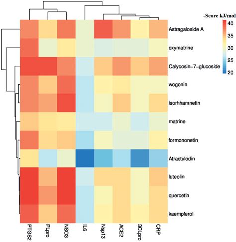 Heat Map Of Molecular Docking Binding Energy Download Scientific Diagram