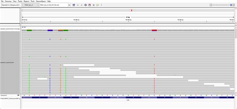 Gatk Haplotypecaller Issues With Genotyping Gt Gatk