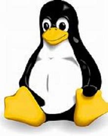 Linux VS FreeBSD Developing Daily