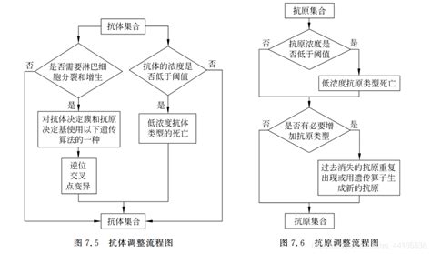 一文搞懂什么是免疫算法immune Algorithm【详细介绍】 Csdn博客