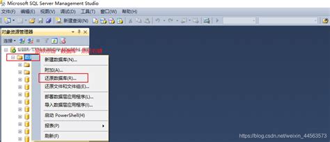 一文教会你sql Server数据库的备份与还原 It6889 博客园