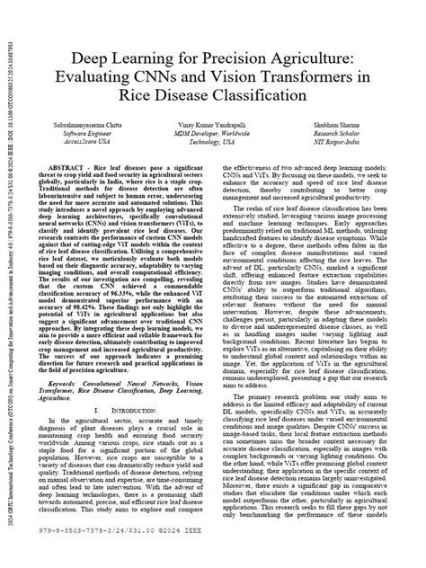 Deep Learning For Precision Agriculture Evaluating Cnns And Vision Transformers In Rice Disease