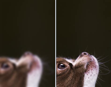gaussian blur produces artifacts pre v2 archive of affinity on