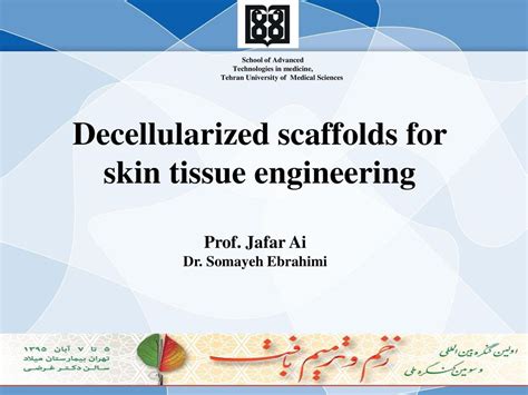 Decellularized Scaffolds For Skin Tissue Engineering Ppt Download