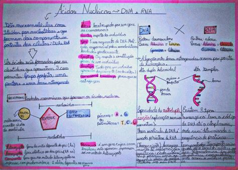 Mapa Mental Hereditariedade Bamedu