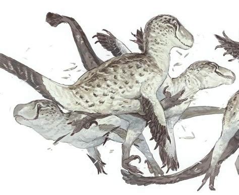 Discover 86 Utahraptor And Paleo Art Ideas In 2025 Prehistoric