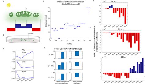 The Spatial Temporal Environment Of A Colony As Inferred By Statistical