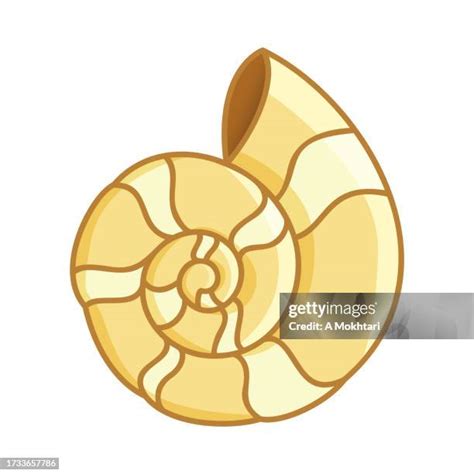 Fossils Icon Photos And Premium High Res Pictures Getty Images