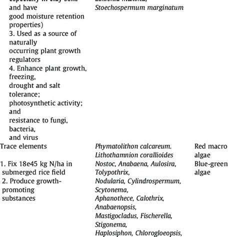 Pdf Algae As Bio Fertilizers Between Current Situation And Future