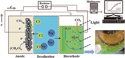 January 2014 Environmental Science Processes And Impacts Blog