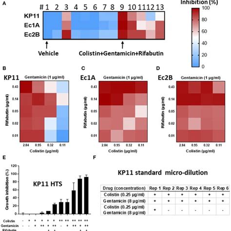 “real Time” High Throughput Drug And Combination Testing Against Download Scientific Diagram