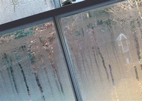 Why Does My Window Have Condensation Its A Red Flag