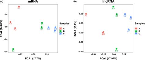Principal Component Analysis For The Mrna A And Lncrna B In The Download Scientific Diagram