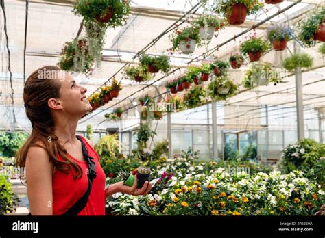 Seedling Nursery Hi Res Stock Photography And Images Alamy