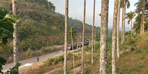 ထားဝယ်တွင် တိုက်ပွဲပြင်းထန်နေပြီး စစ်ကောင်စီက လေကြောင်းမှ ၂ရက်ဆက် ဗုံးက