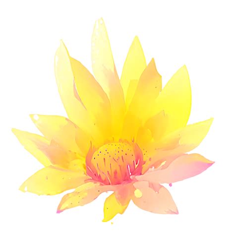 Acuarela Flor Linda Color Pastel 22641181 Png