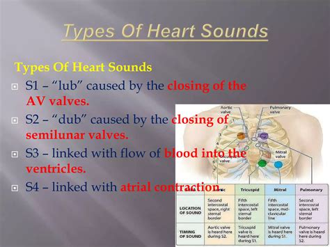 Heart Sounds Assessment For Nurses Murugeshpptx