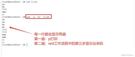 深入理解sed编辑器：工作流程、命令格式与高级操作 csdn博客