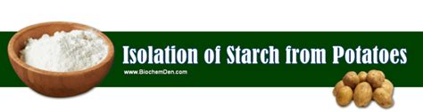 How To Make Potato Starch Isolation Of Starch From Potatoes