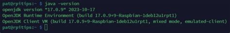 How To Install Any Java Version On Raspberry Pi RaspberryTips