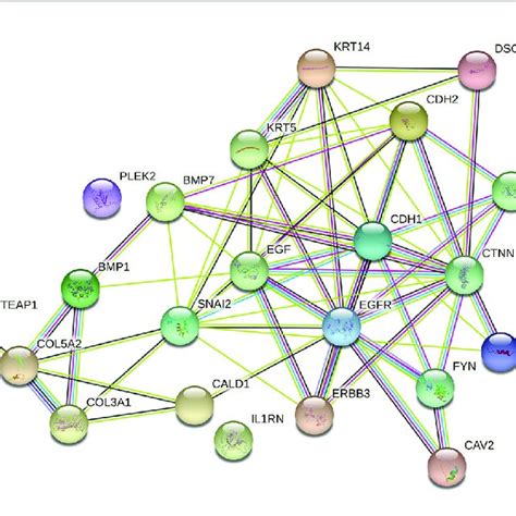Cluster Analysis Of The Ppi Network Using String Database For Emt
