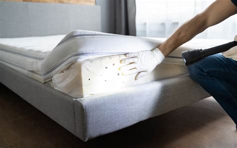 Bed Bugs In Mattress Encasements Orkin Canada