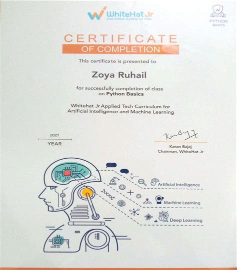 zoya r on linkedin python learning