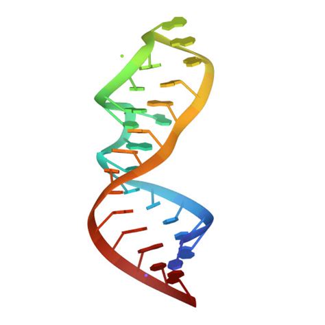 Group Rna Puzzles