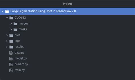 Polyp Segmentation Using Unet In Tensorflow 20 Idiot Developer