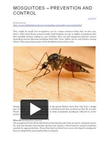 MOSQUITOES PREVENTION AND CONTROL Presentation Free To Download