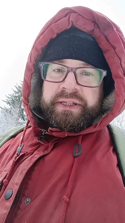 Неправильные пчелы для зимовки Youtube