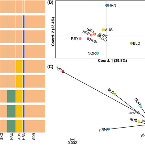 Results Of Microsatellite Analysis Showing A The Results Of Bayesian