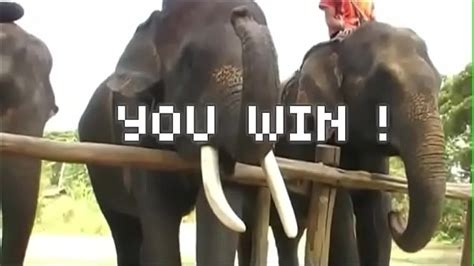 Soi Pattaya Thailand Search Xvideos Com