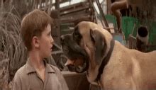 Forever The Sandlot S Tenor
