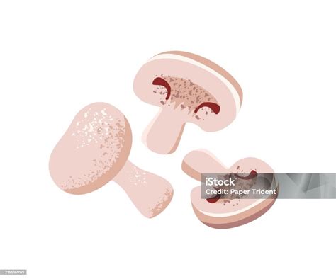 얇게 썬 샴피뇽 식용 버섯 식사 요리용 원료 익히지 않은 음식 조각 가을 숲 수확 맛있는 식사 흰색 배경에 평평한 고립 된 벡터 그림 가을에 대한 스톡 벡터 아트 및 기타